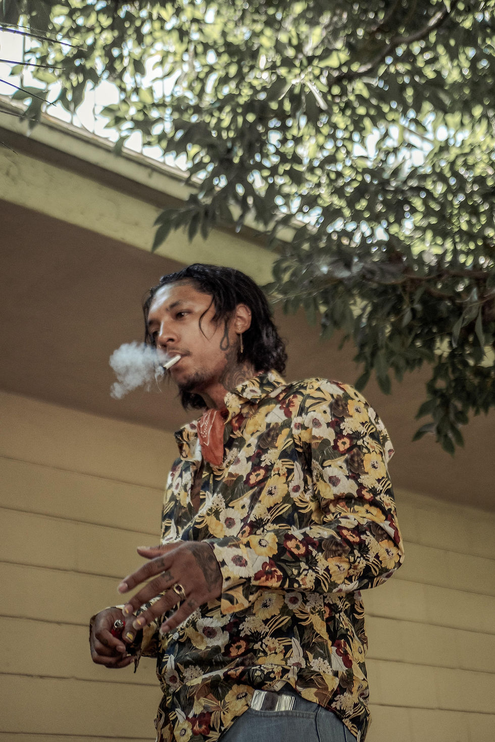 Applying Everything to Everything: Inside the World of Rook Monroe