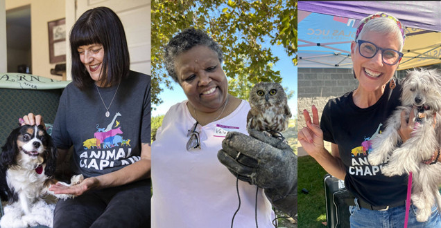 Animal Chaplaincy Training | Compassion Consortium