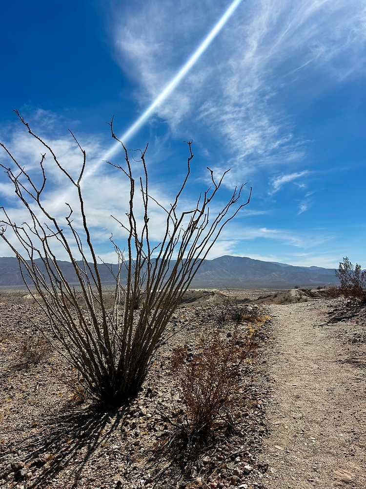 Top 5 Hikes in Anza Borrego State Park