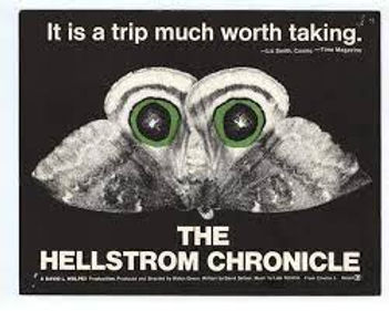 A crônica de Hellstrom (1971)