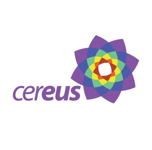 CERUS | Solo3