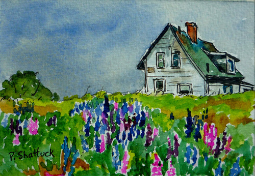 Lupin Fields | Pat Shattuck | Jennifer's of NS