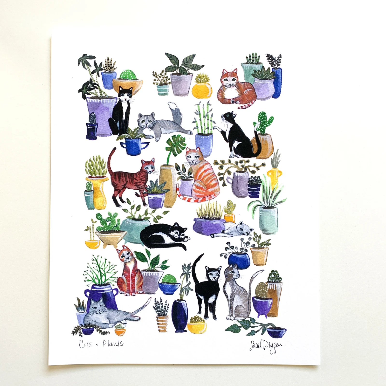 Cats + Plants | Sarah Duggan | Jennifer's of NS