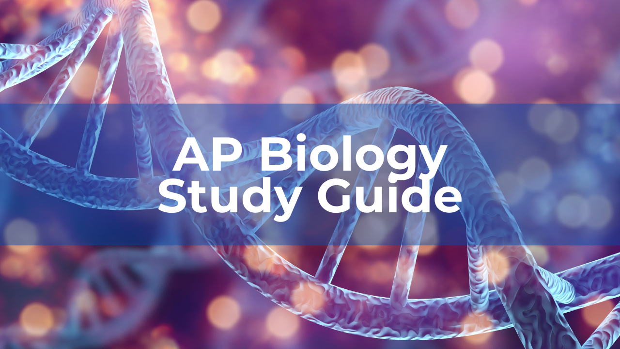 AP Biology Study Guide