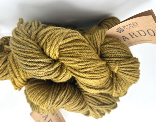 Terrarium Cardo | Over The Next Row