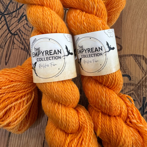 Orange Daggertail | Over The Next Row