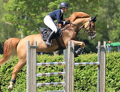 Instructors Profile | Ethereal Equestrian | Horse Riding | Brisbane