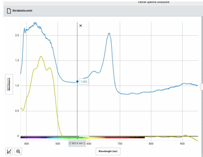 IBDP Biology Practical 4: Chromatography of Photosynthetic Pigments