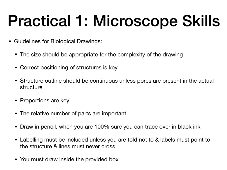 IBDP Biology: Practical 1 Microscopy Tips & Tricks