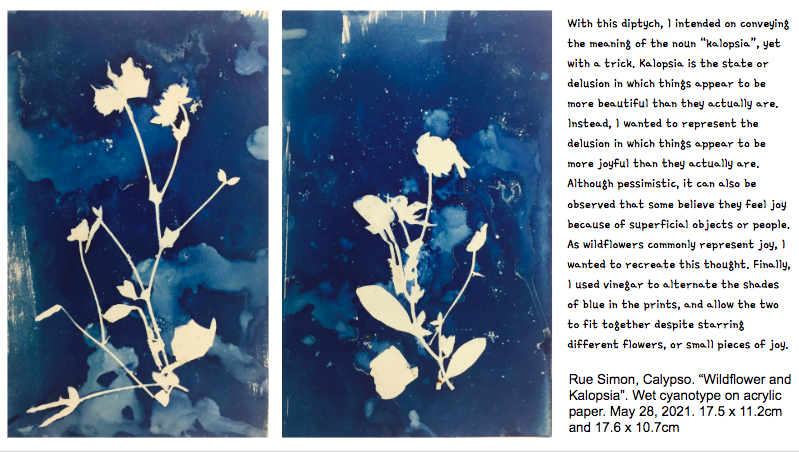 Using Visual Art as your NGSS Phenomenon - The Chemistry of Cyanotype