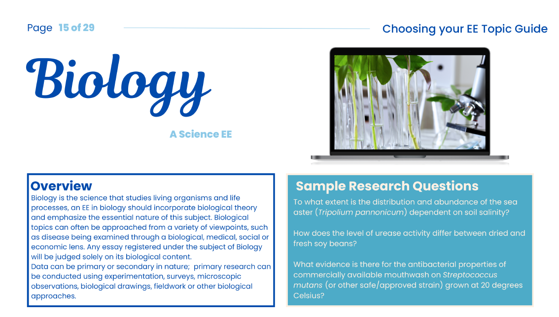 Getting Cozy with the IBDP Extended Essay