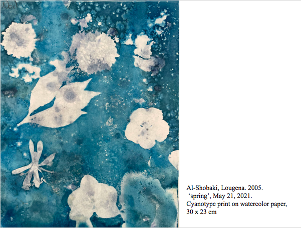 Using Visual Art as your NGSS Phenomenon - The Chemistry of Cyanotype