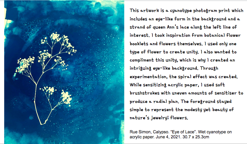 Using Visual Art as your NGSS Phenomenon - The Chemistry of Cyanotype