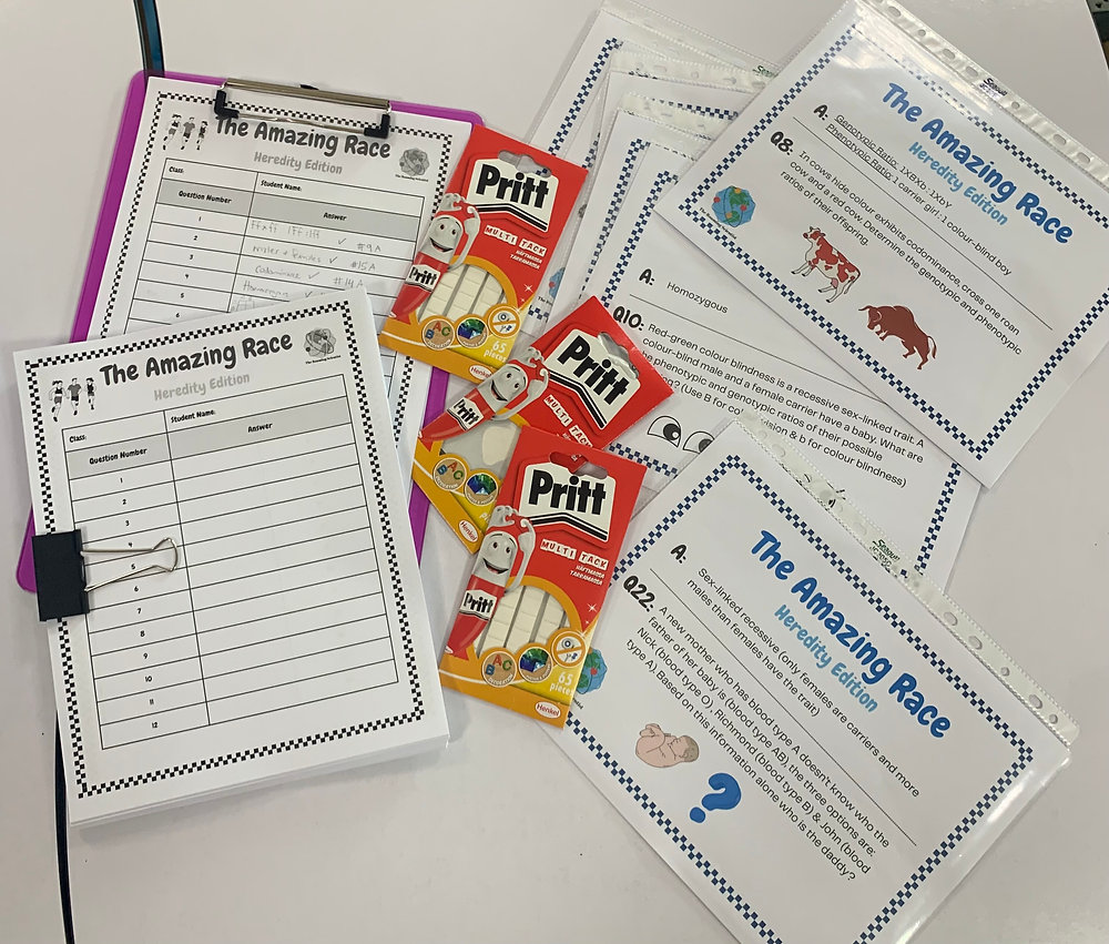 The Amazing Race: A Fun, Interactive Way to Practice Science Concepts!