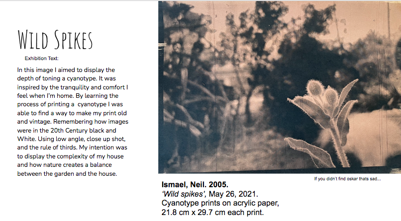 Using Visual Art as your NGSS Phenomenon - The Chemistry of Cyanotype