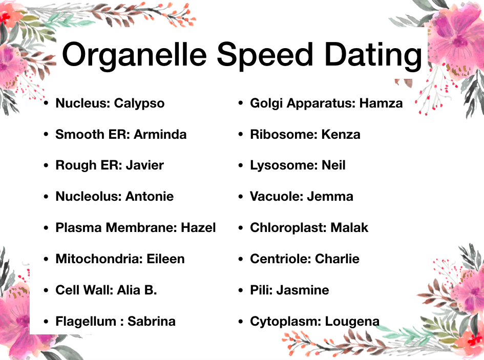 Cell Organelle Speed Dating aka The Best Cell Bio Lesson of the Year!