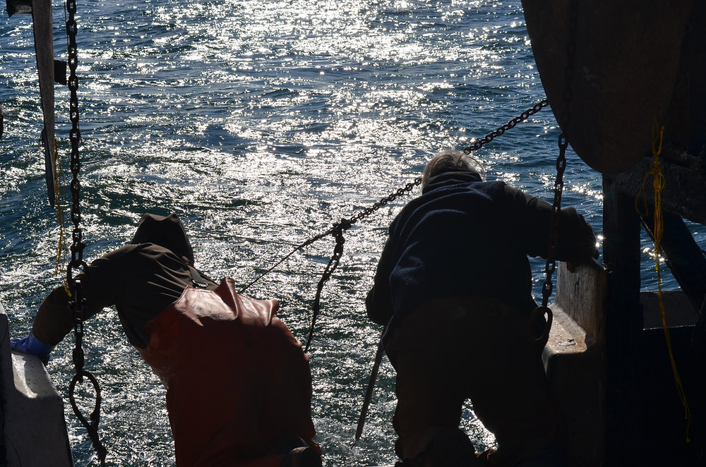 Fishermen Wellness: The Benefits of Peer Support