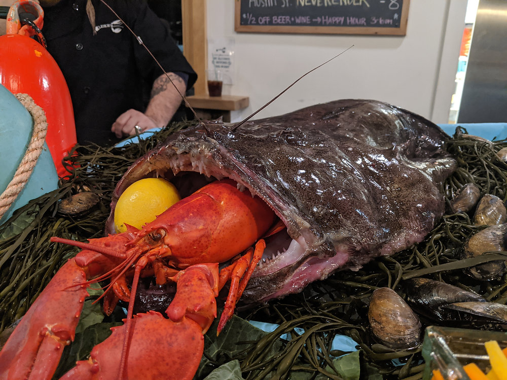 monkfish size limit