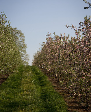 Cider Hill Farm History | Amesbury, MA