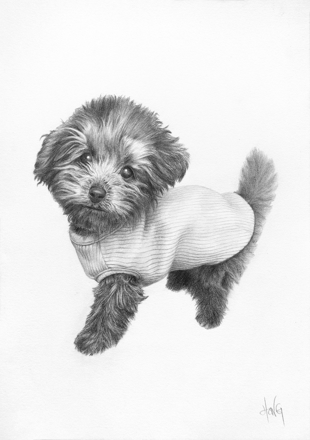 Baby Zero | Pet Portraits | GohHong Art