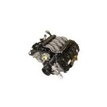 Ortiz Performance, LLC | Brands | Engine