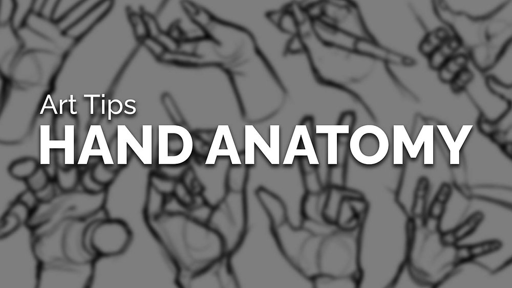 How to Draw Hands - Tips to Keep in Mind | Winged Canvas Blog