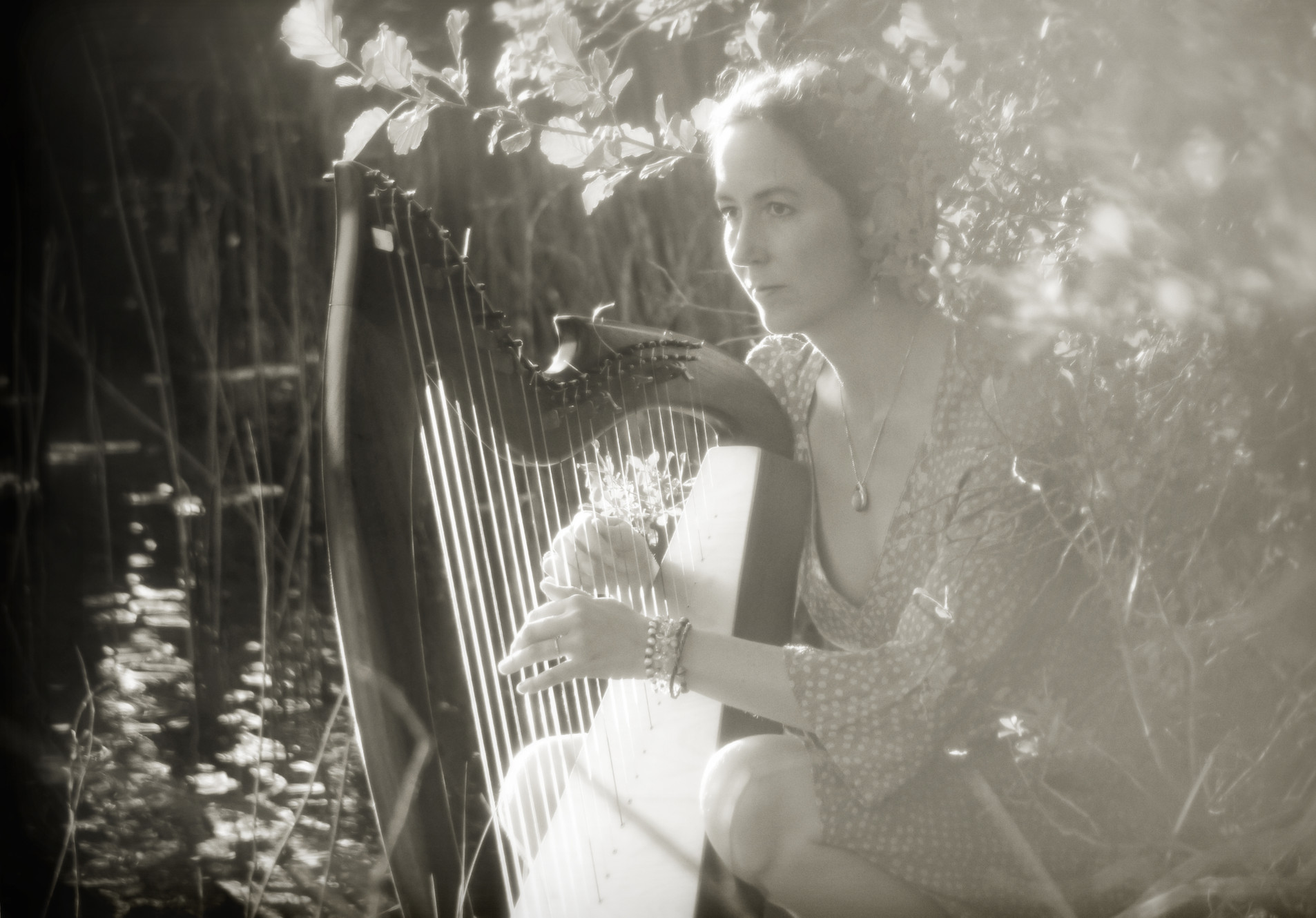 About | Harp Stories