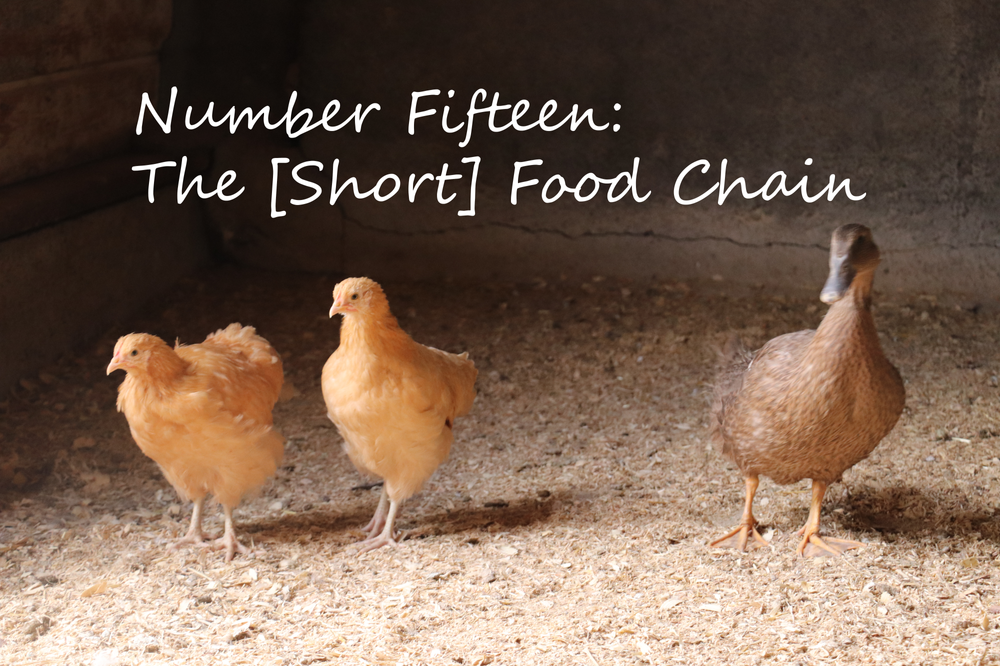The [Short] Food Chain.