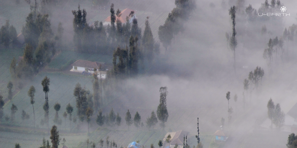 The World’s Most and Least Polluted Countries