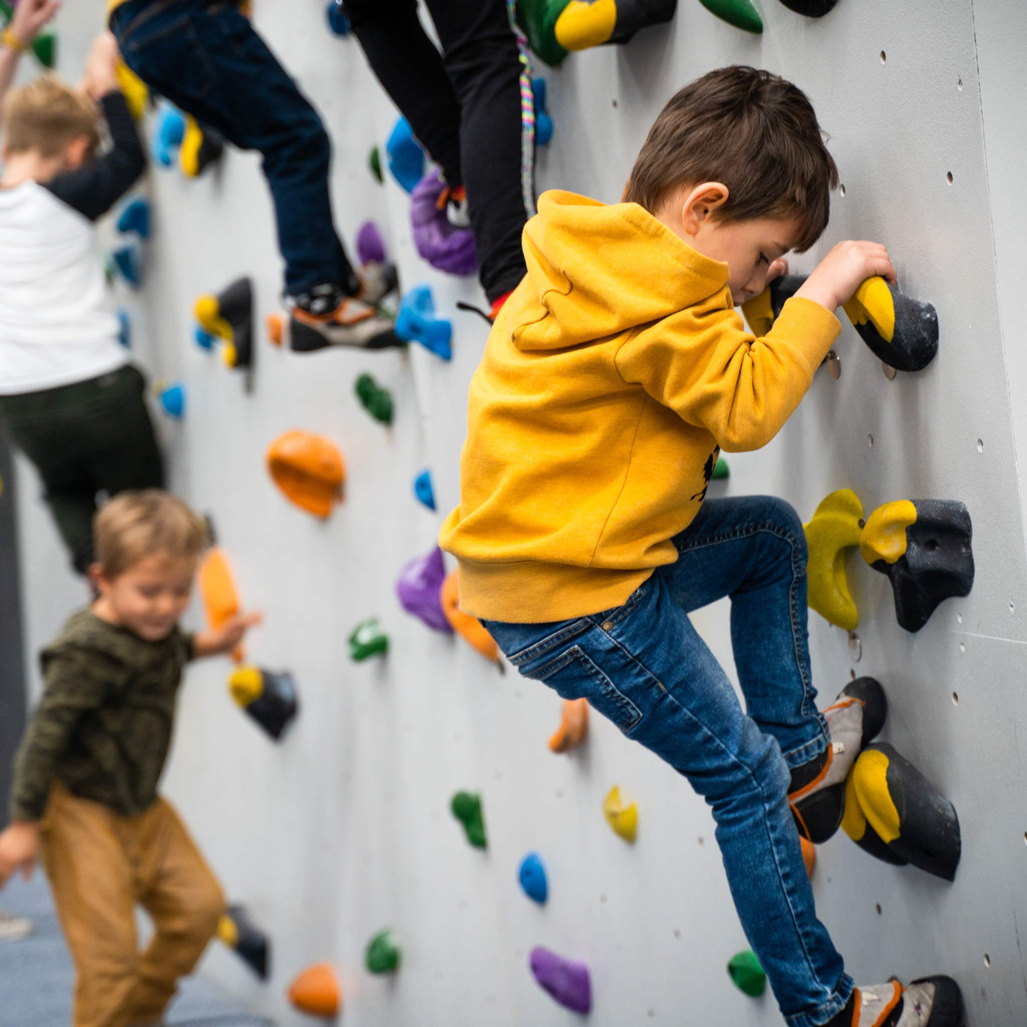 Book Boulder Zoo - Autism Friendly Sessions | Climbing Hut - Ellesmere Port