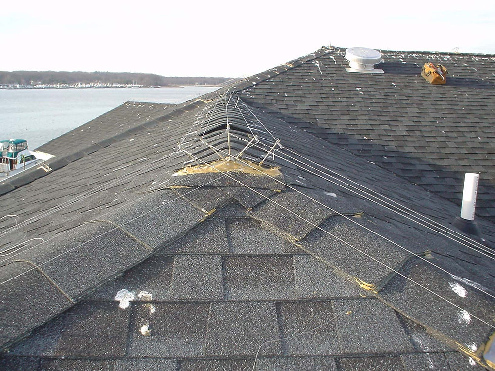 Bird Deterrents for Roofs