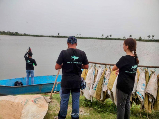 Ongoing Projects | Fish Welfare Initiative