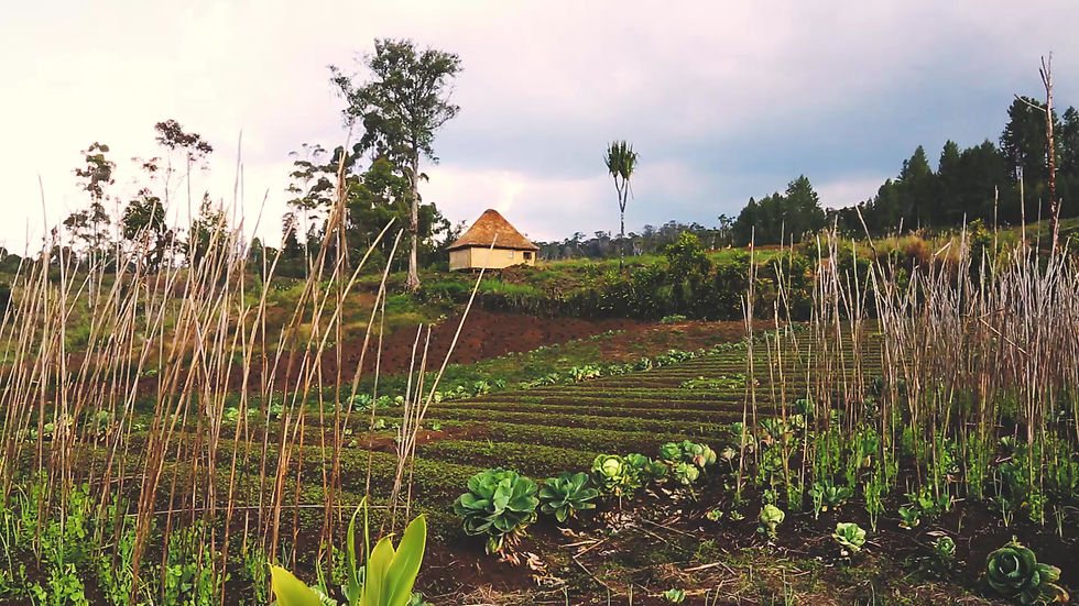 Plan | Experience Enga | Enga Province