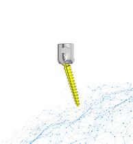 Posterior Cervical | Prodorth Spine