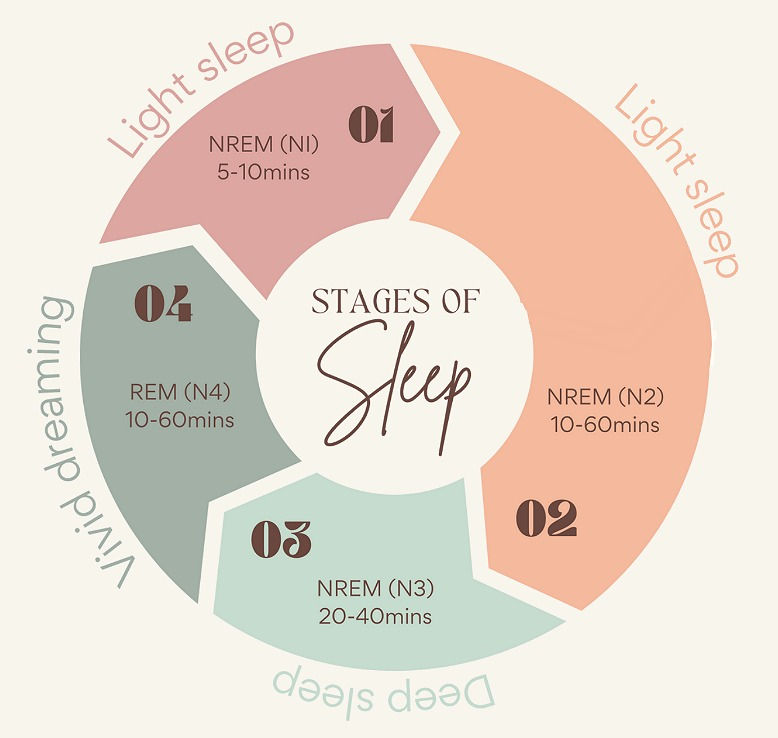 Value of Sleep