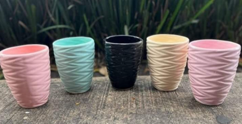 TRAQUEL CHICO SOCIO | CL PREMIUM