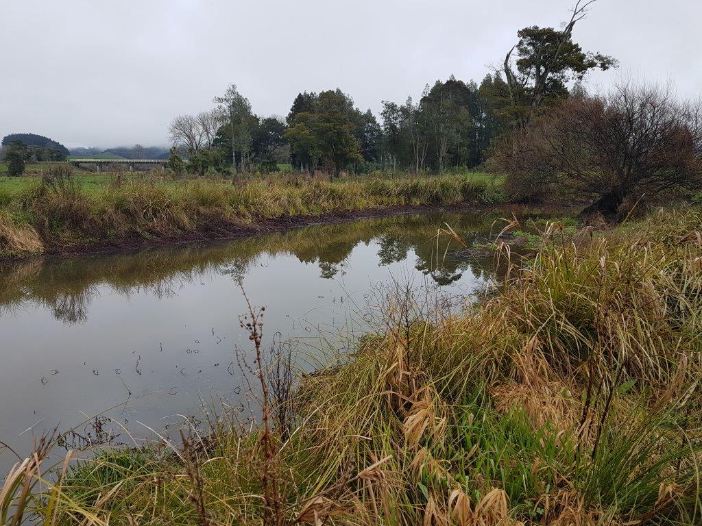 Before and After Sites | waikato-river-care
