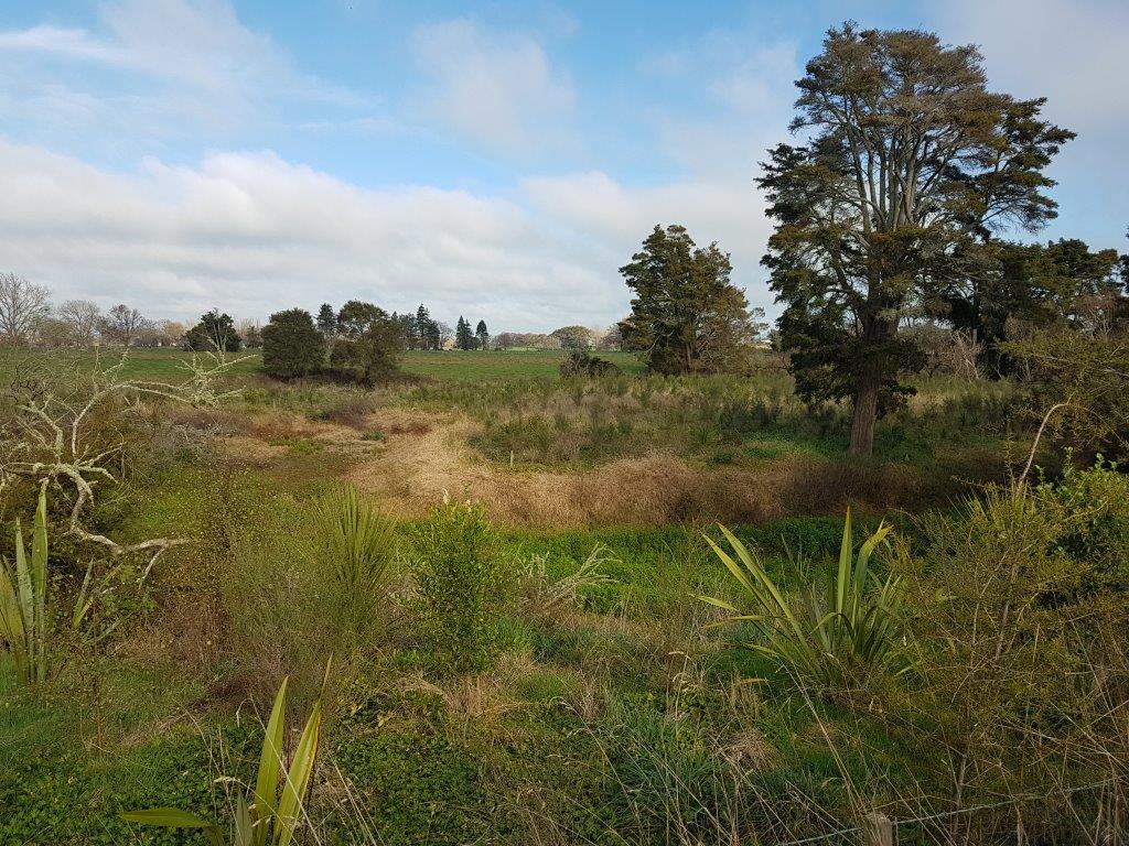 Before and After Sites | waikato-river-care