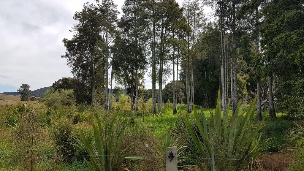 Before and After Sites | waikato-river-care
