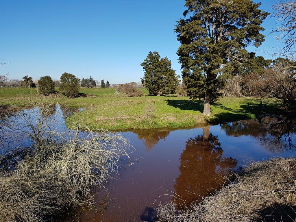 Before and After Sites | waikato-river-care