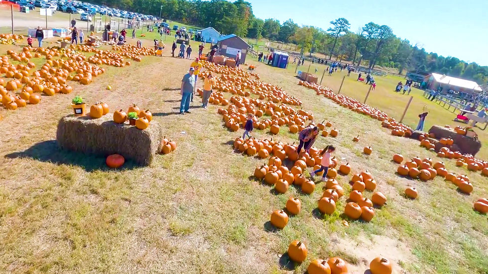 Argos Farm | Farm Market | Forked River, Lacey Township, NJ, USA