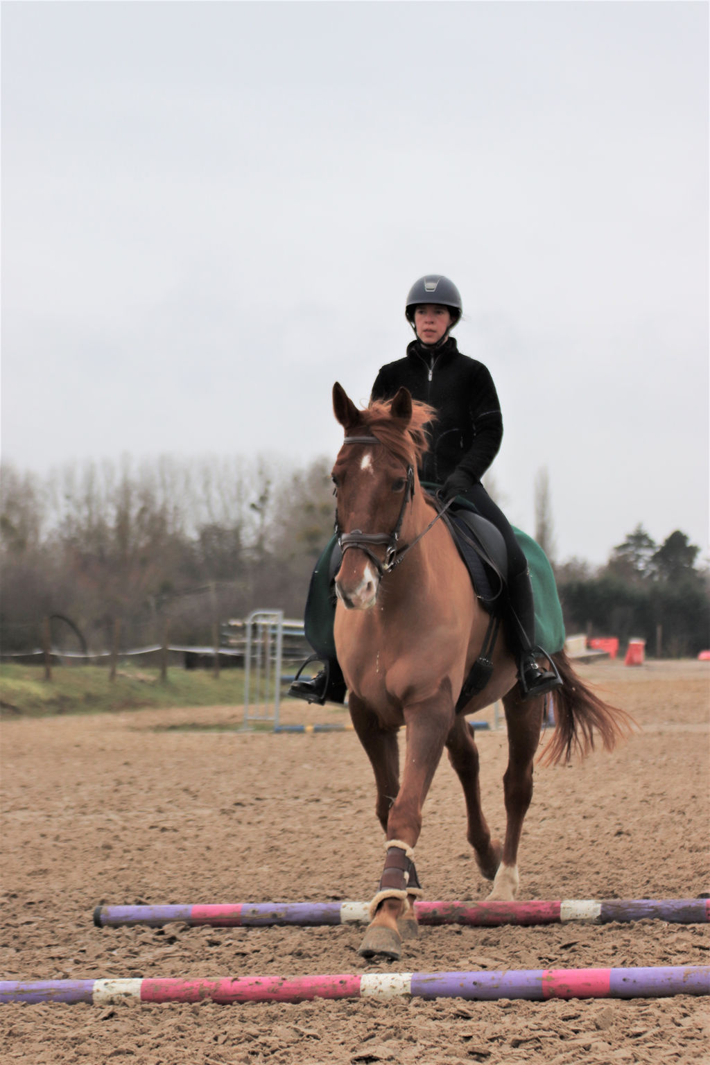 Bienvenue sur le site officiel du Moulin de la Forge