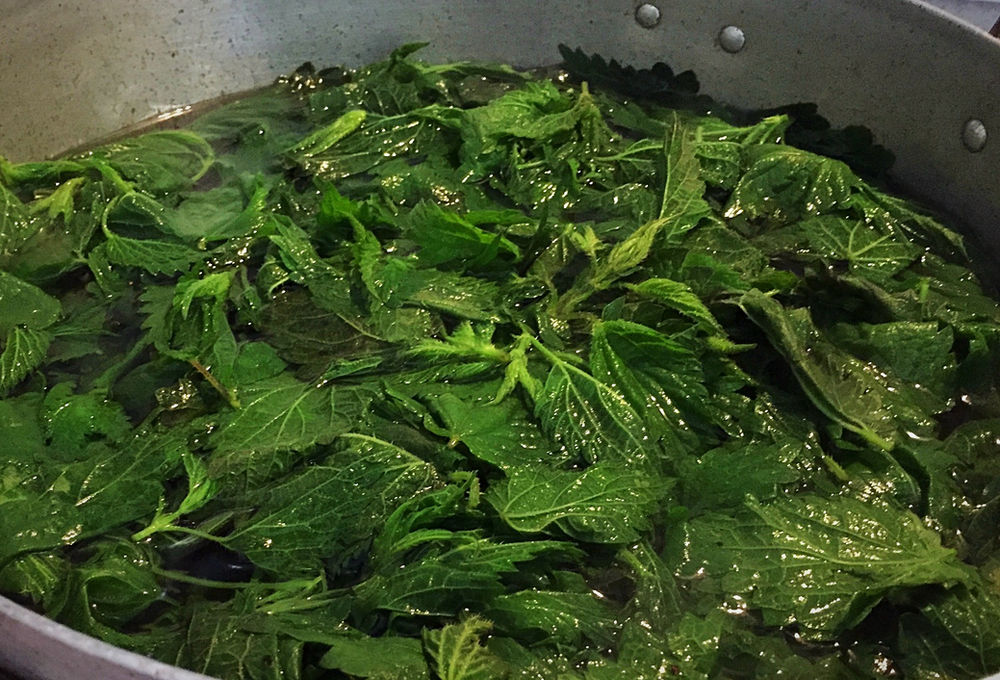 ALL' ORTICA ... 🌱🌱🌱