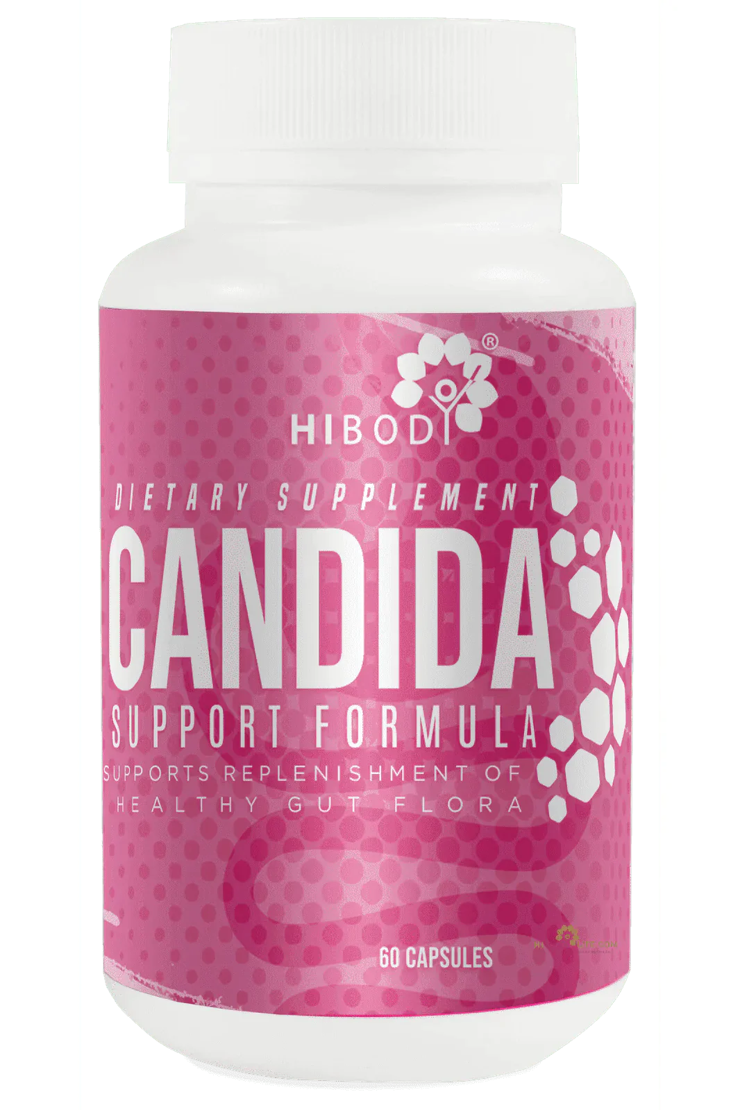 Sanando Al Mundo | Sobador Profesional | San Jose, CA