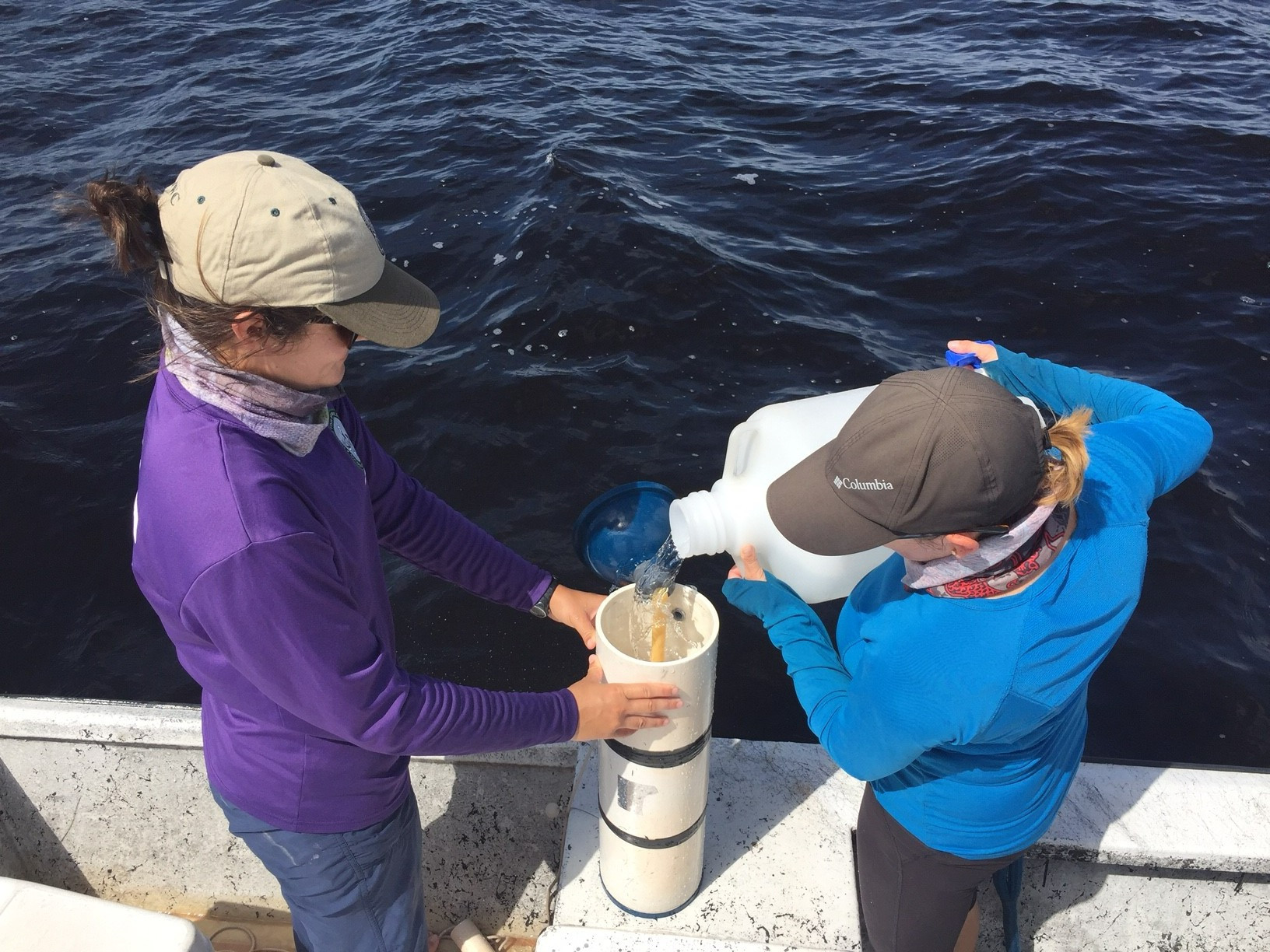 CHNEP Coastal Charlotte Harbor Monitoring Network (CCHMN)