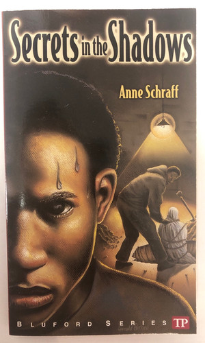 Secrets in the Shadows | Bradlc