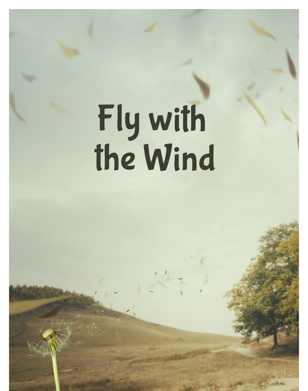 Fly with the wind
