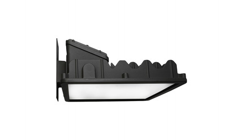 16" Wall Light | QSSI
