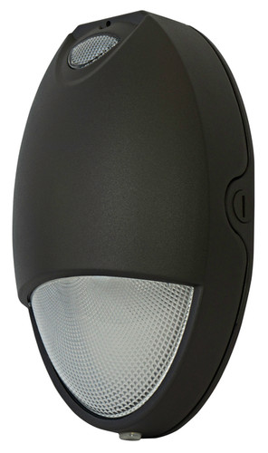 Electron LED Outdoor Decorative Emergency Light | Endeavor Lighting