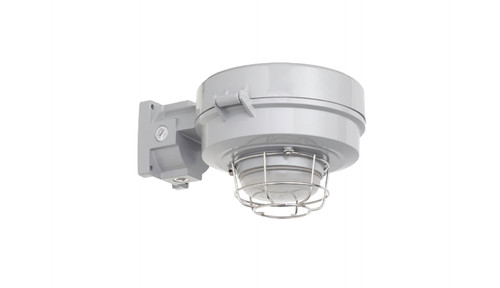 Hazardous Locations LED Area Light - Multiple Mounting | QSSI